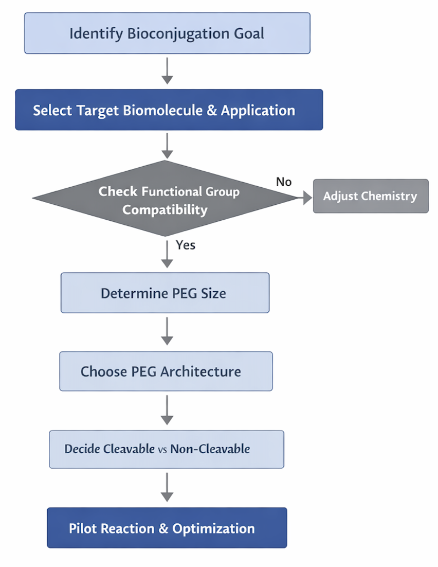 PEG Linker Selection Best Practices for Bioconjugation: Design Tips ...